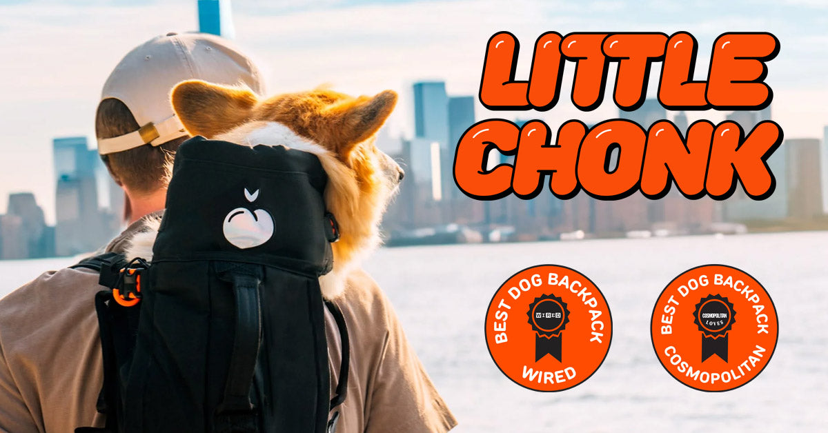 The Best Quality Dog Gear for Every Adventure – Little Chonk